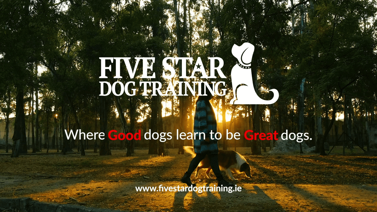 Contact Five Star Dog Training | Get In Touch | We're here to help