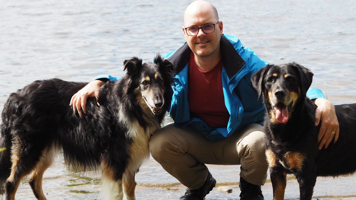 About Five Star Dog Training | Our Mission and Values