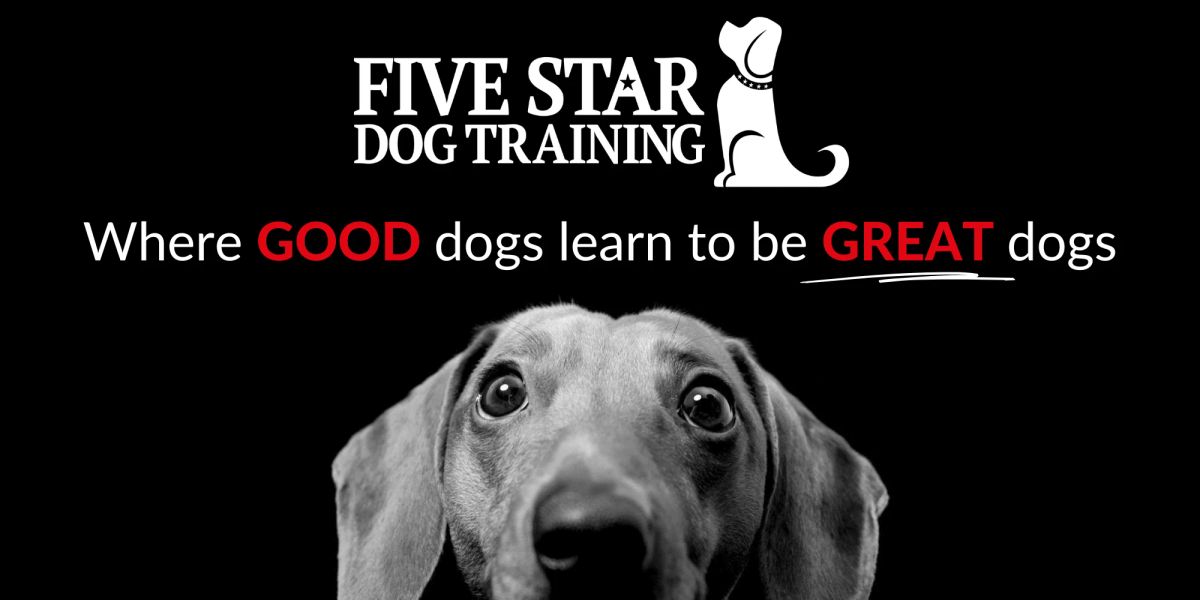 Five Star Dog Training | Puppy Training & General Obedience Classes ...